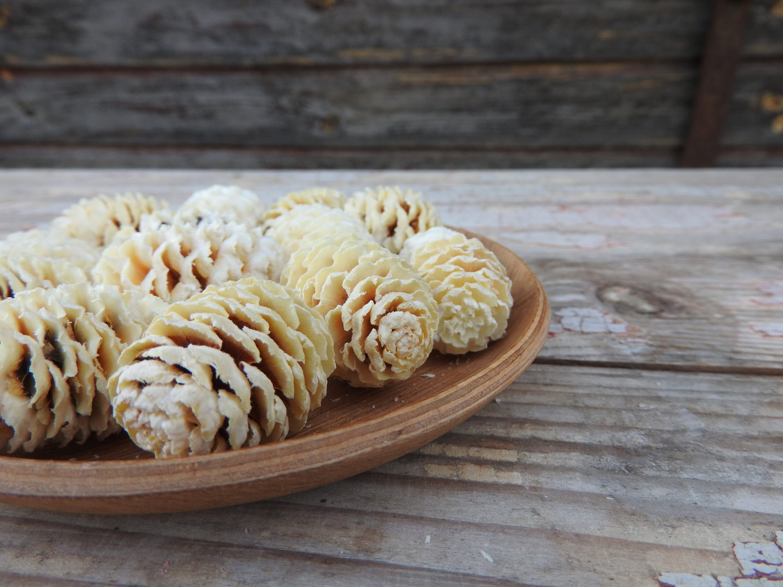 Boglárka Szárazvirág - Meridianum - fehérített